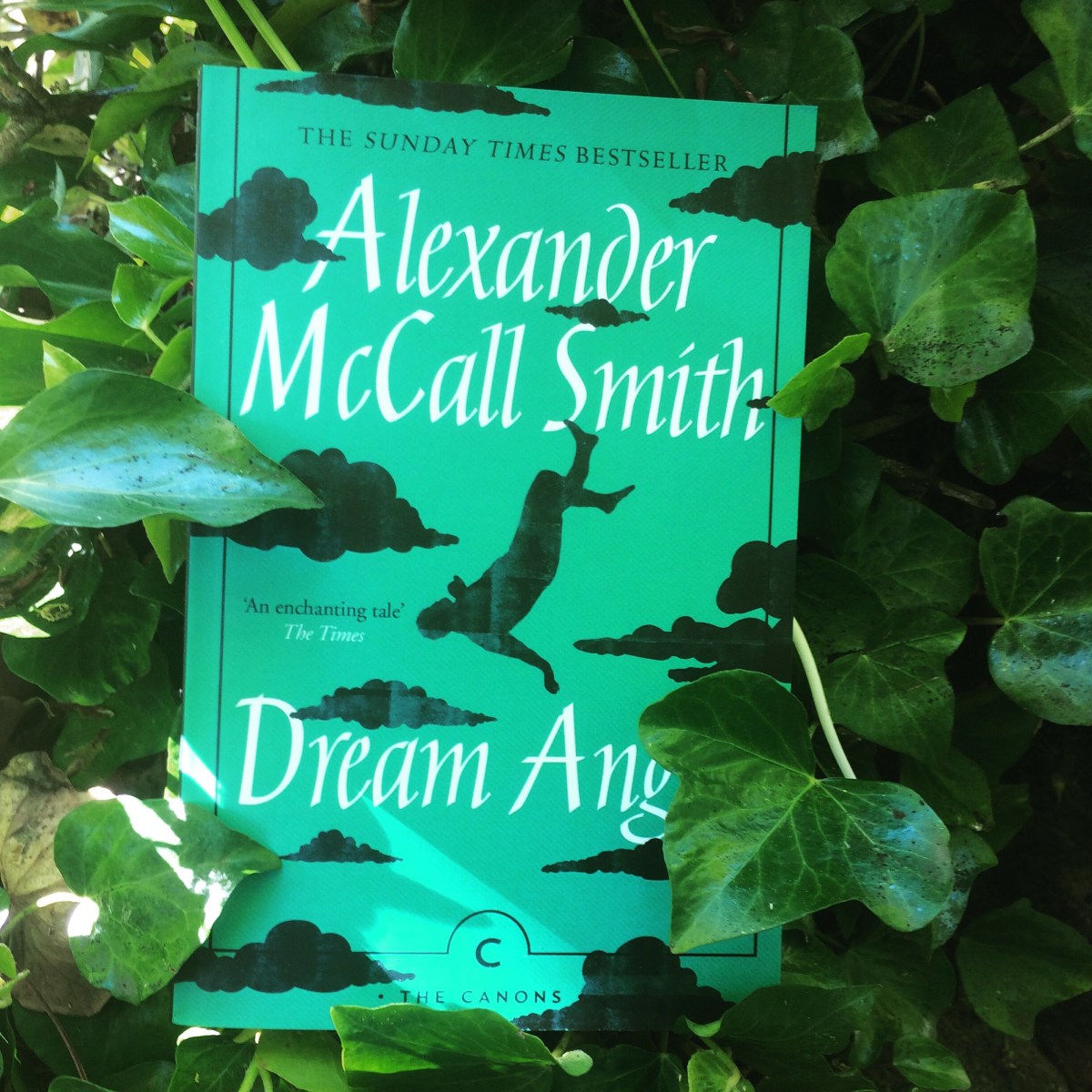 Dream Angus – The Caffeinated Reader