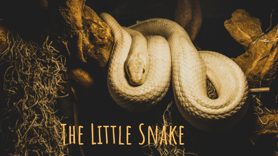 The Little Snake Review – The Caffeinated Reader