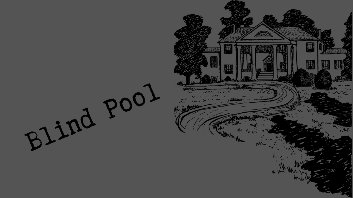 Blind Pool – The Caffeinated Reader
